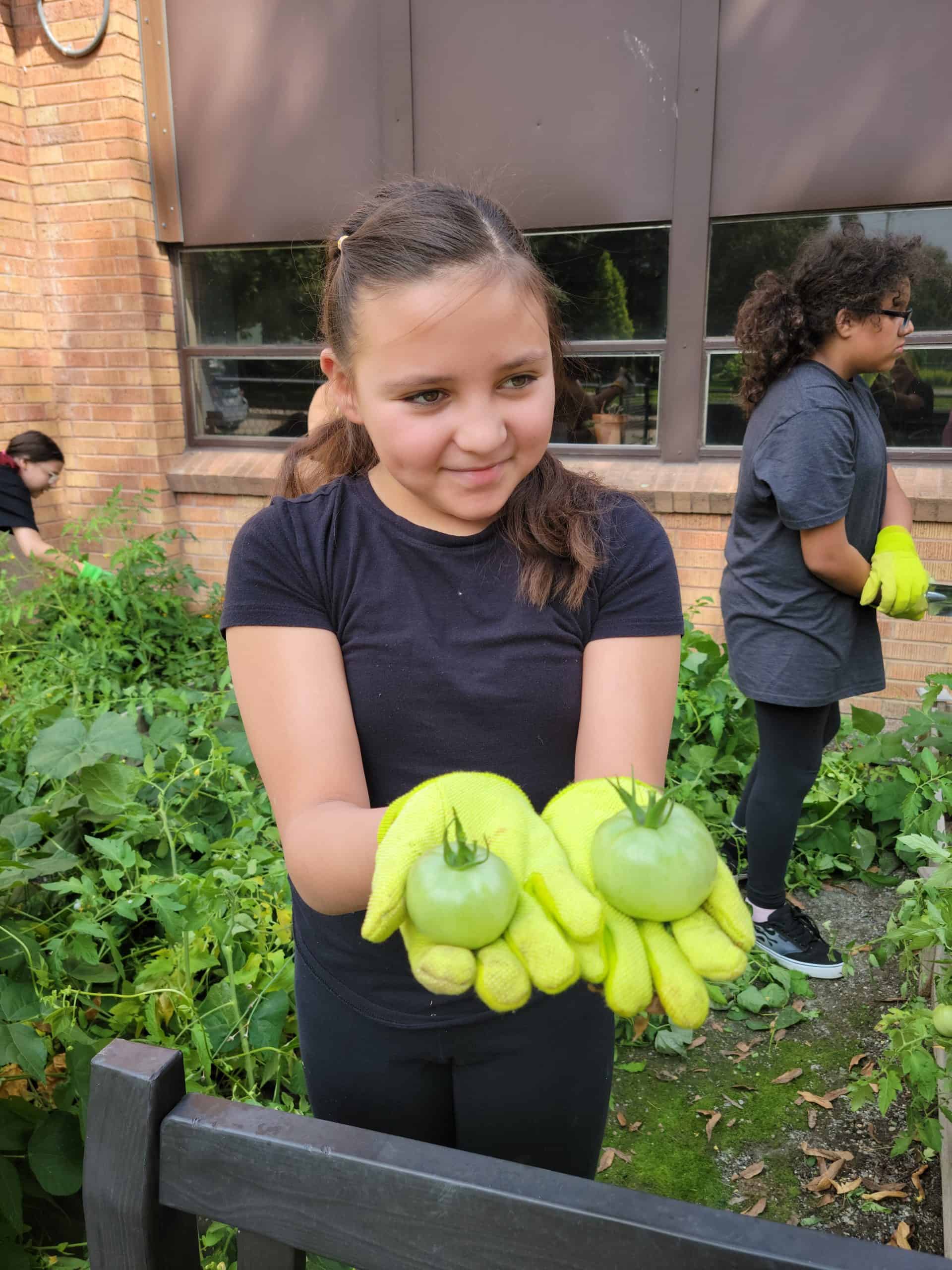 Farm to School – St. Vrain Valley Schools